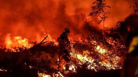 Cambio Climático Olas De Calor Extremas E Incendios En El Hemisferio