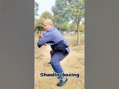 Shaolin Primary Boxing Training#KungFu #martialarts - YouTube