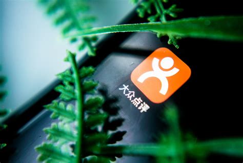 Essential Apps For Living In Shanghaiuseful Apps