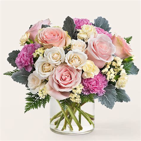 Roses And Rose Bouquets Safewaysafeway Floral