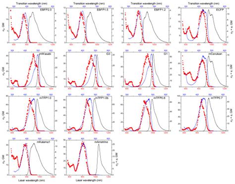 Two Photon Cross Section And Brightness Of Bluetealgreen Fp Series Download Scientific