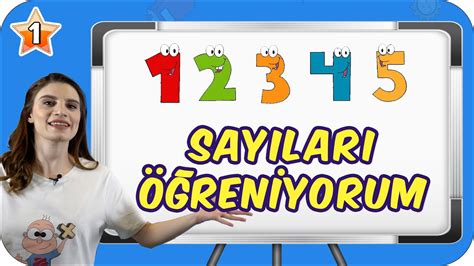 Sayıları Öğreniyorum Birlikte Sayalım 👩🏻‍🏫 1sınıf Matematik Youtube