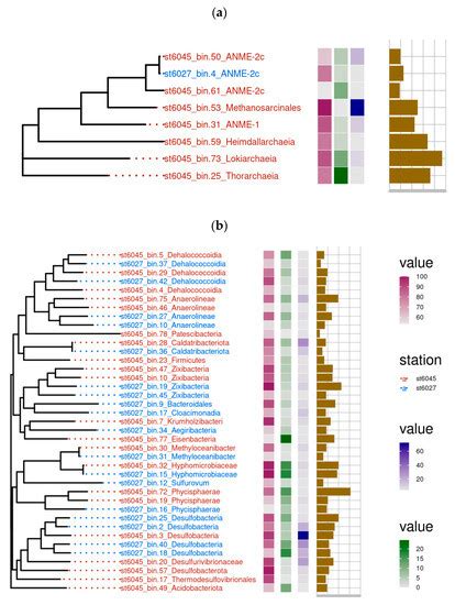 Microorganisms Special Issue Microbial Communities Involved In The
