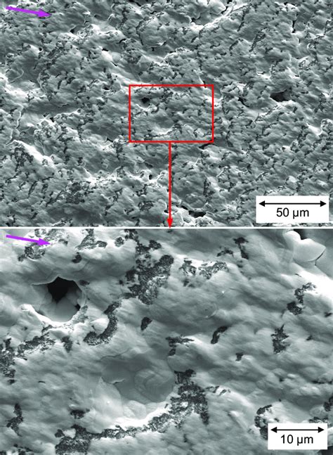 scanning electron micrographs of the marker layer after exposure at