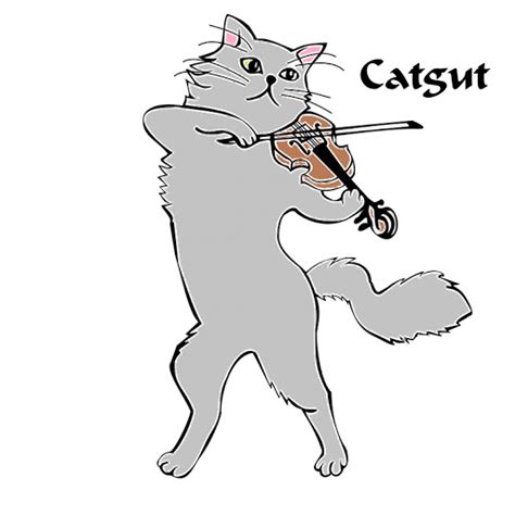 Vitula Youtube Music