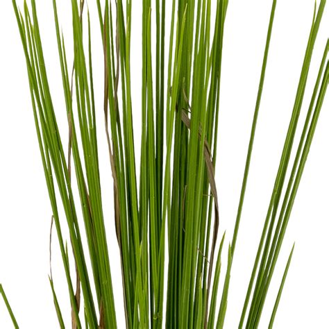 23” Royal Grass Uv Protected Gs1022 Replica Plants And Decor