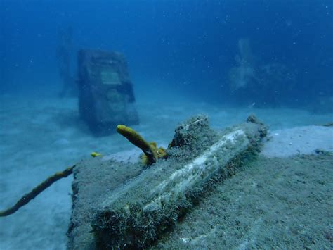 Mumar Dive Site Padi
