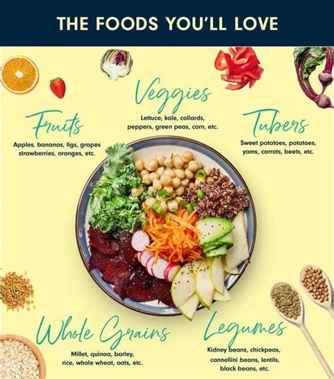 Plant Based Diet Benefits What You Need To Know Aerns