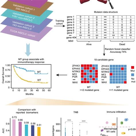 Two Dimensional Perceptual Map Of The Multiple Correspondence Analysis