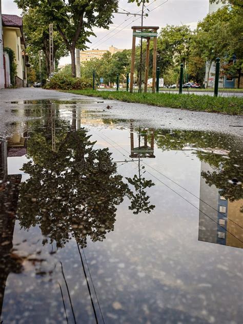 Urban Street With Buildings And Trees Reflected In Water After Rain