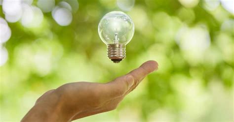 What Is The Best Microdosing Course In 2022