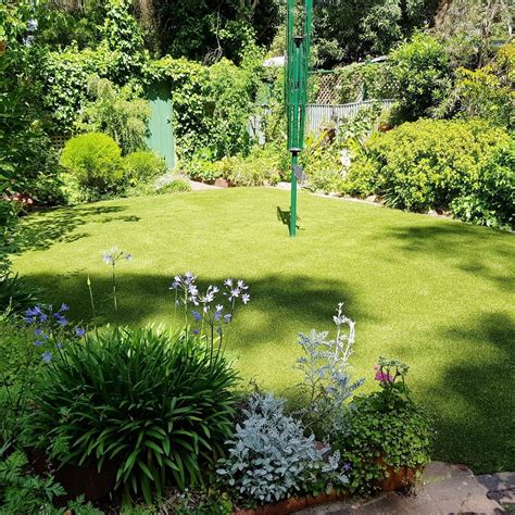 Rollout Grass Max Foran Director Of Rollout Grass Recently Attended