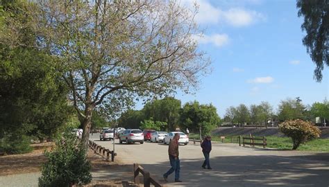 Alameda Creek Trail All You Need To Know Before You Go 2026 With
