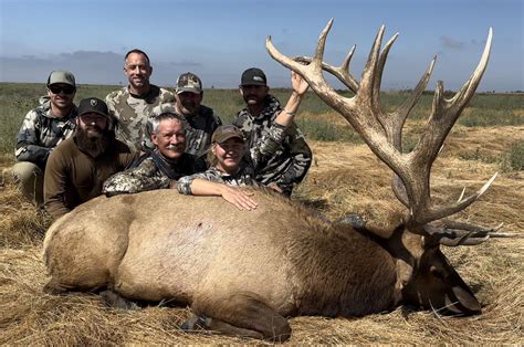 Master Bait Master Bait Added A New Photo