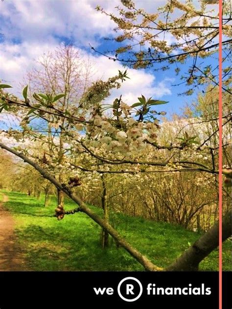 Angelique Willenborg Kleijn Winkel Posted On Linkedin