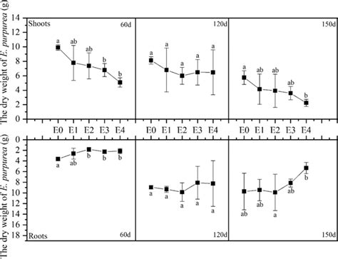 the dry weight of e purpurea during different periods e0 e1 e2 e3
