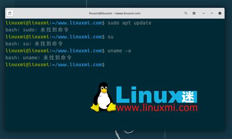 Linux 教程：解决 “sudo 未找到命令” 问题的完整指南 Linux迷