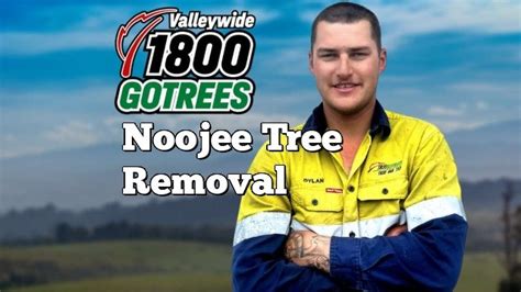 Noojee Tree Removal ☎️ 1800 Go Trees