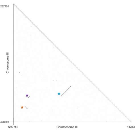 Paralogy In The Copy Number Variable Chromosome Iii Region Axes Report Download Scientific