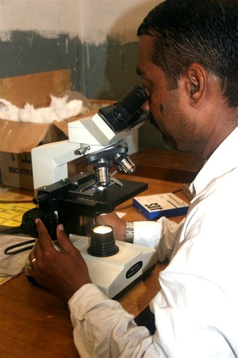 Free Picture Gel Electrophoresis Chemical Test Laboratory