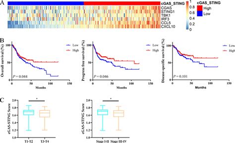 Cgas Sting Cluster Analysis Of The Prognosis Of Oscc Patients A