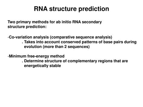 Ppt Rna Functions Structure And Phylogenetics Powerpoint