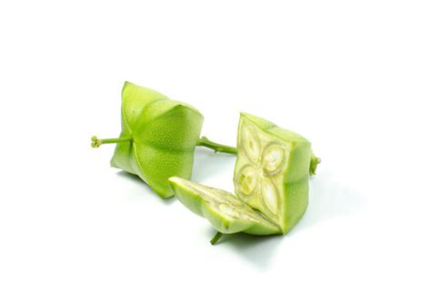 รูปภาพinchi เลือกดูภาพถ่ายสต็อก เวกเตอร์ และวิดีโอ2012 Adobe Stock