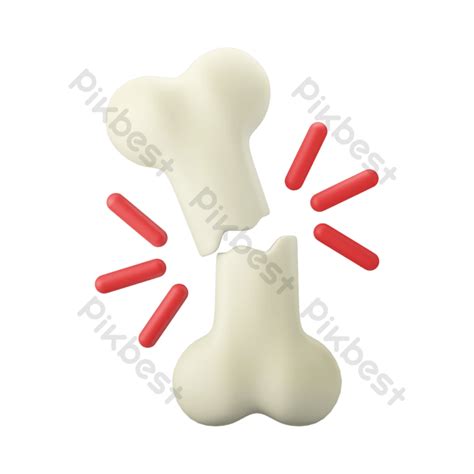 Bone Cut Into Two Pieces Png Images Psd Free Download Pikbest