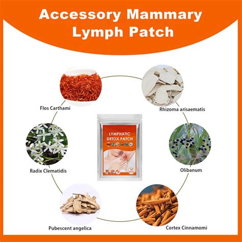 China Lymphatic Drainage Detox Patch Pembekal Pengilang Kilang Diskaun Borong Holly