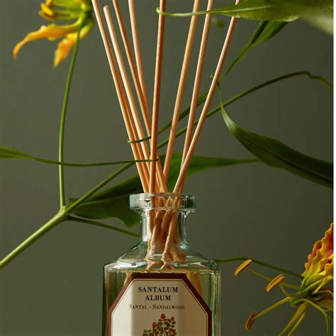 Diffusers Elevate Your Space With Luxury Home Diffusers Page 3
