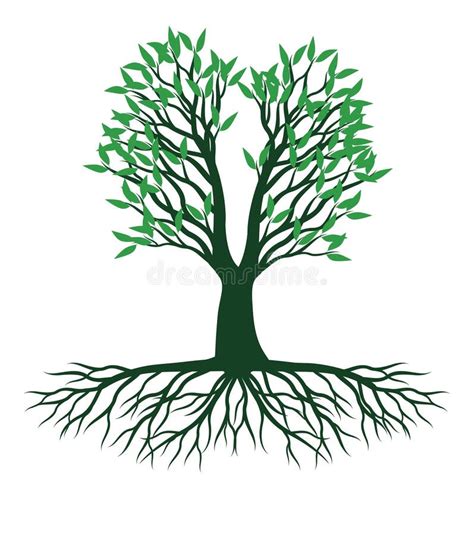 Green Spring Tree With Roots Vector Illustration Stock Vector