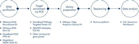 Qiaseq 1 Step Amplicon Dna Library Kit