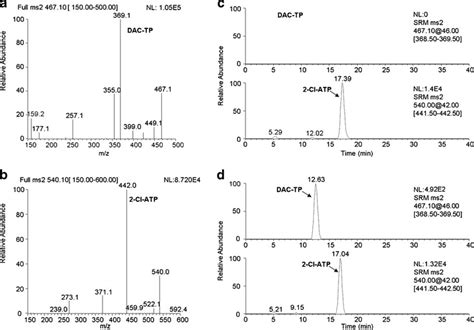 Lc Msms Assay Development And Validation For Dac Tp Quantification Download Scientific