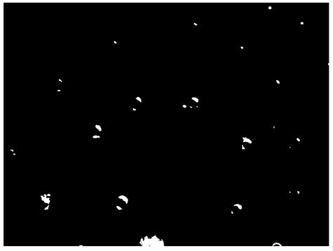 Ionic Liquid Loaded Hollow Liquid Core Microencapsulation Cell And Application Thereof Eureka