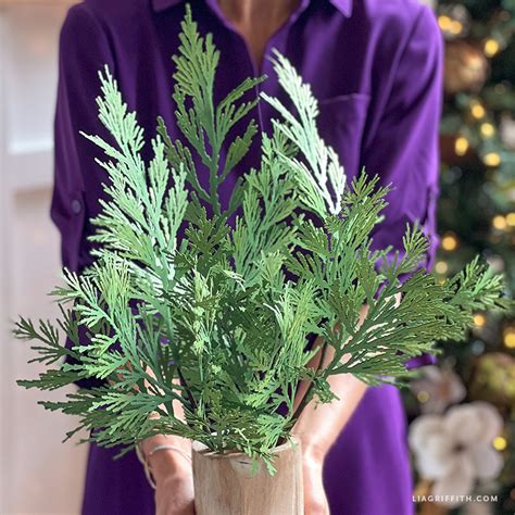 Cardstock Cedar Branches Lia Griffith