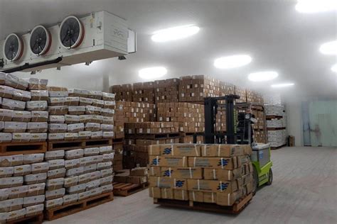 Découvrez Les Solutions Dexportation Frigro Frigro Be