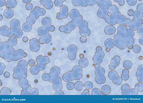 Blue Cells Microscopic Particles Molecules Molecular Cell Close Up