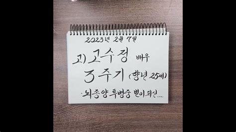 고 고수정 배우 3주기 Youtube