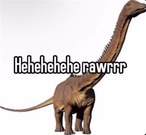 Dinosaur Rawr Meme