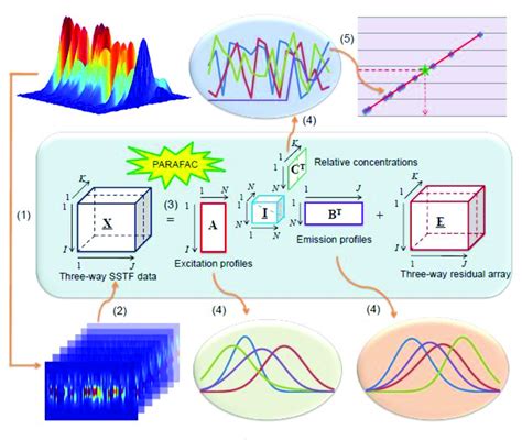 schematic representation of sstf spectrometry coupled with the parafac