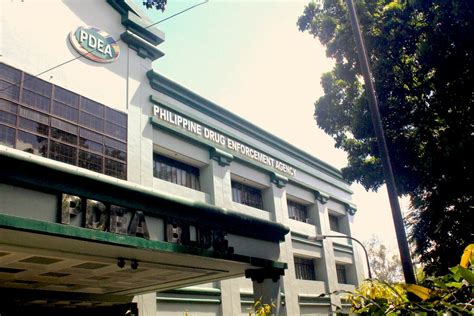 Mag Ingat Sa Sumisikat Na ‘magic Mushroom Pdea Dziq Radyo Inquirer