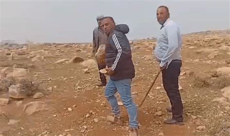 בנס לא נפגע הציתו אש ויידו אבנים עשרות פורעים ערבים תקפו רועה צאן