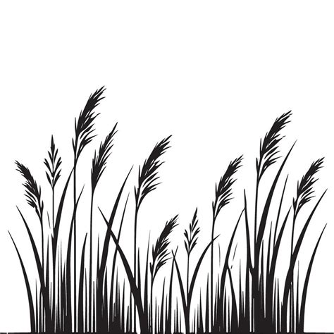 Silhouette Of A Detailed Grassy Border 55566508 Vector Art At Vecteezy