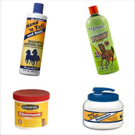Best Horse Care Products At Margaret Pinto Blog