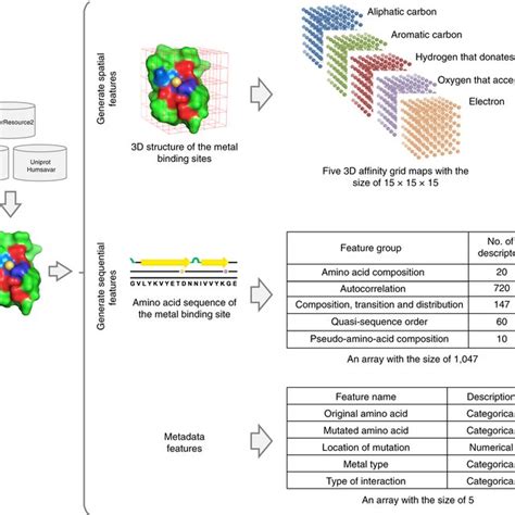 Junwen Wang Professor Of Biomedical Informatics Phd Uw Seattle Mcit Upenn Mayo Clinic