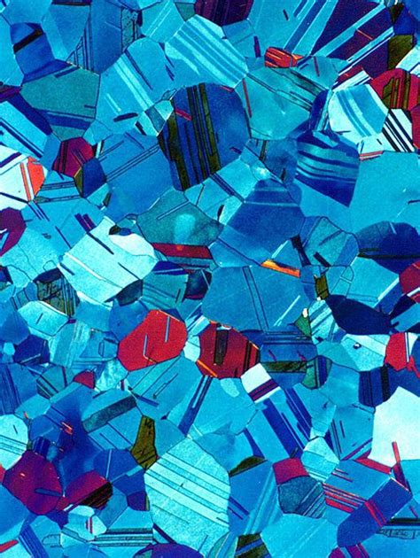 Familiar Objects Magnified 16 Pics