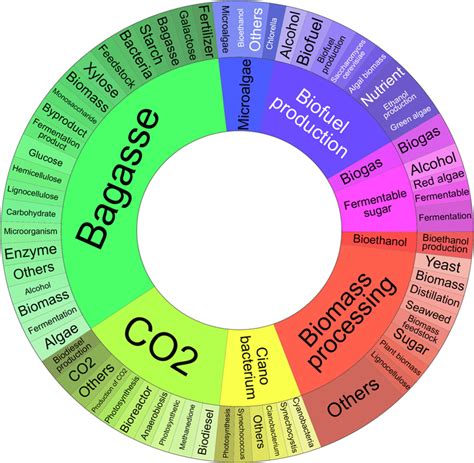 Clustering And Main Subclassifications Of The Concepts Related To