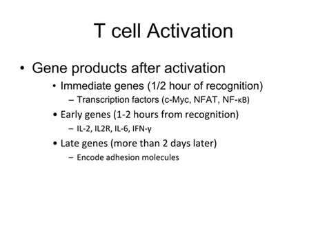 T Cell Development Maturation Activation And Differentiation Pptx