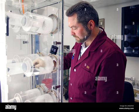 Mosquito Repellent Research Chemist Using An Olfactometer To Test The