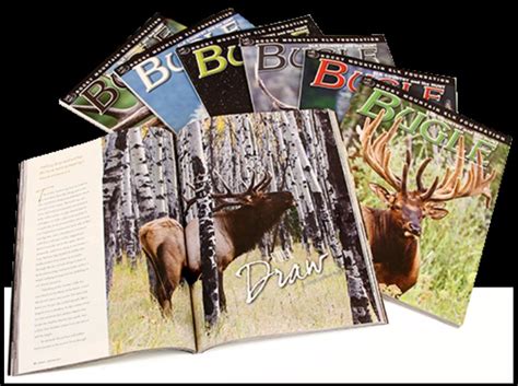 Learn Elk Hunting Archery Details Step By Step Share The Outdoors